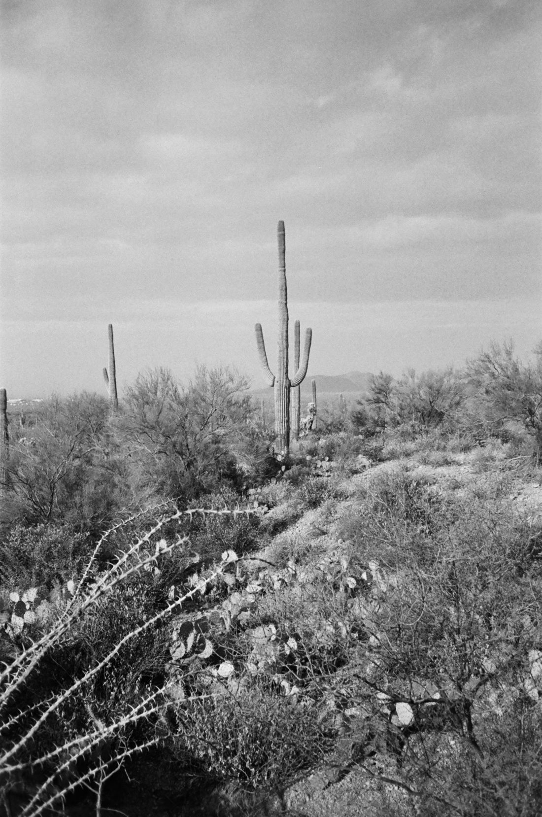 WESTERN GRIT photographed by Kevin Aldrich - LetKiss