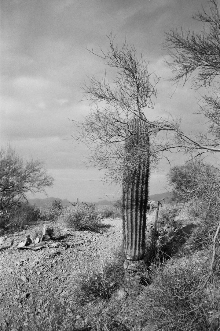 WESTERN GRIT photographed by Kevin Aldrich - LetKiss