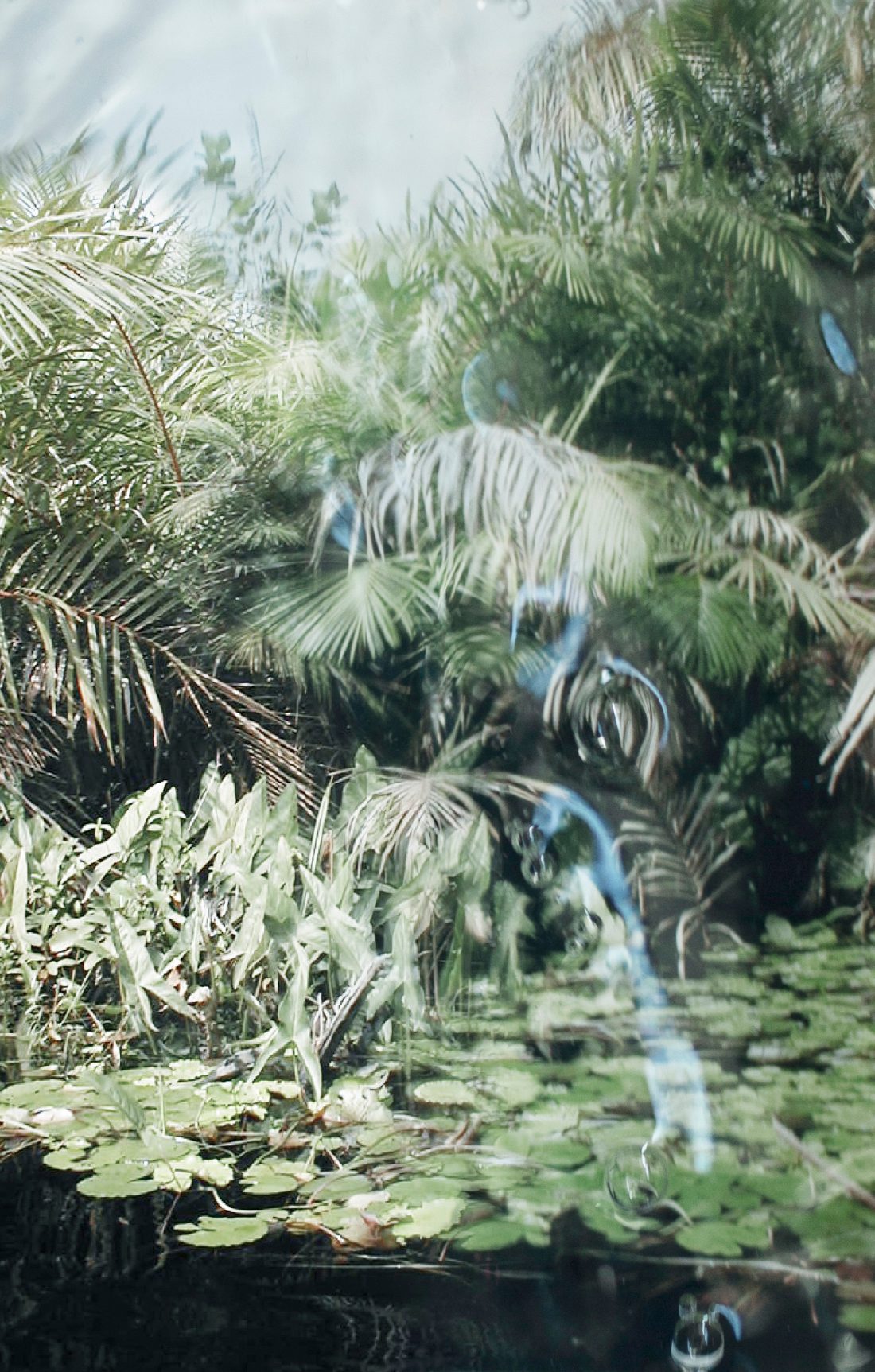 PARADISE ISLAND photographed by Alice De Kruijs - LetKiss