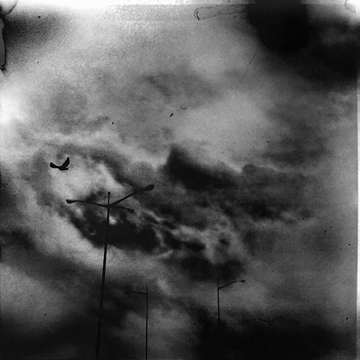 FALL OF THE RAVEN photographed by Thymournia - LetKiss