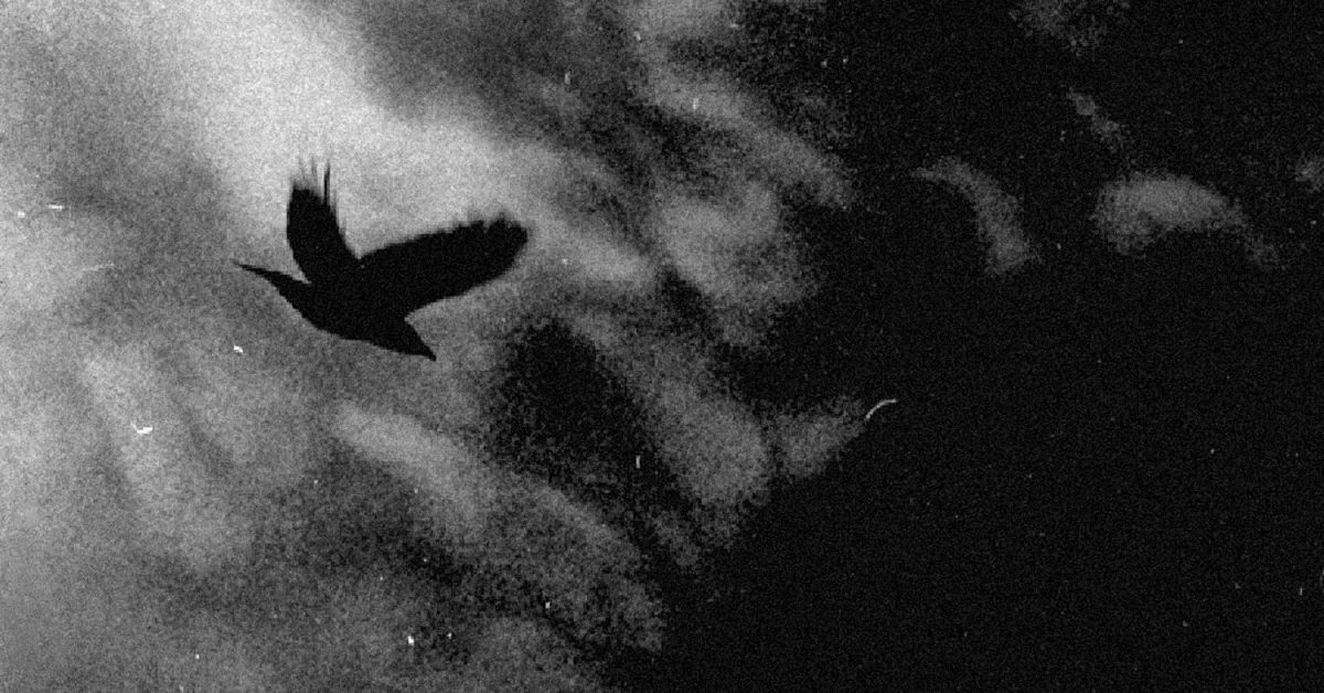 FALL OF THE RAVEN photographed by Thymournia - LetKiss